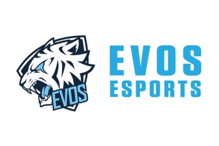 10 Team Esports Indonesia Terbesar Dan Kekuatannya Diakui Di Skala ...