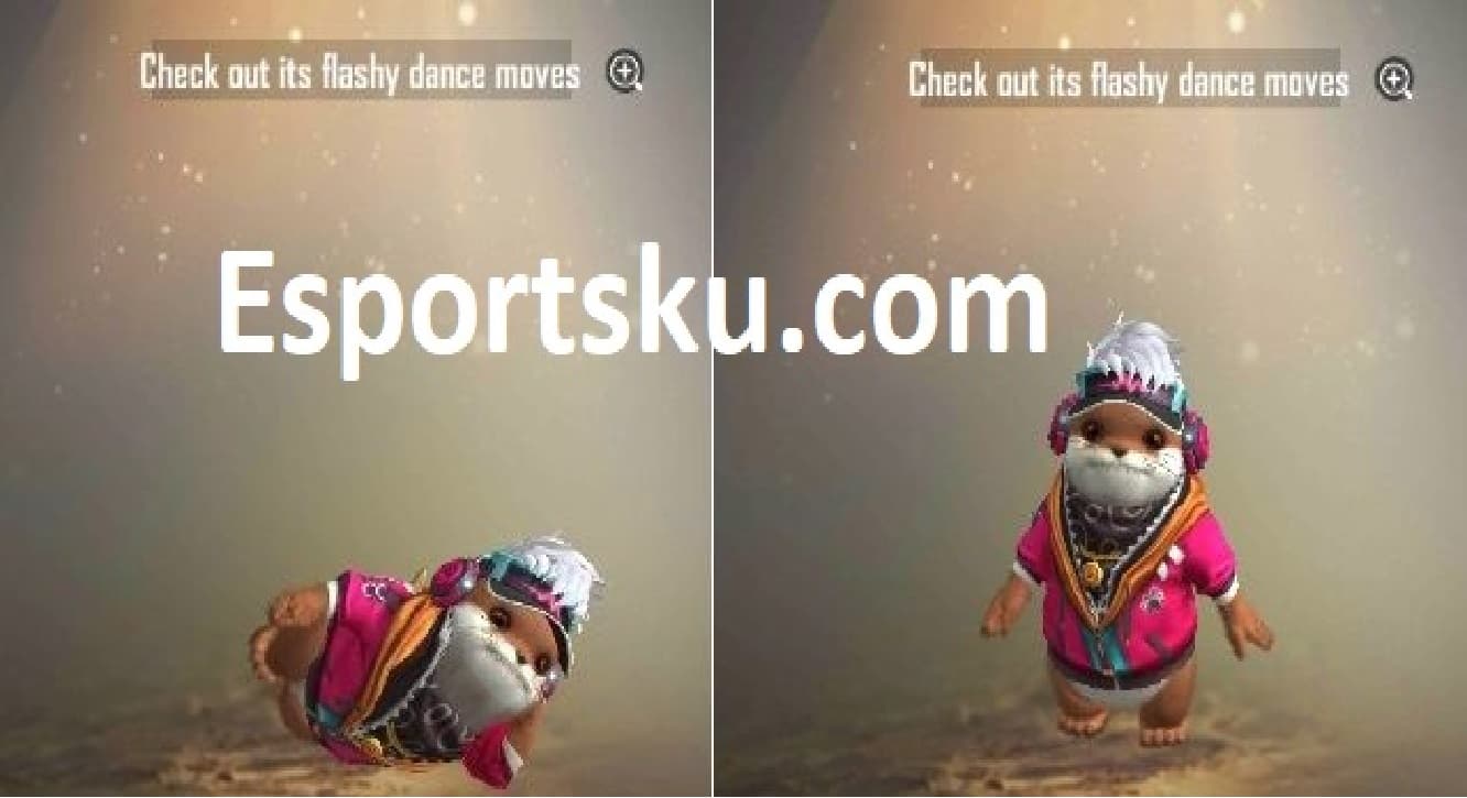 12 Pet Free Fire Terbaik, Pemain FF Wajib Punya! – Esportsku