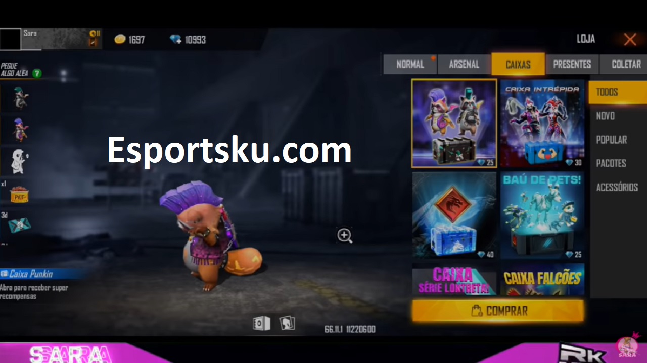 Penjualan Pet Box FF Skin Cyberpunk Rockie Free Fire – Esportsku