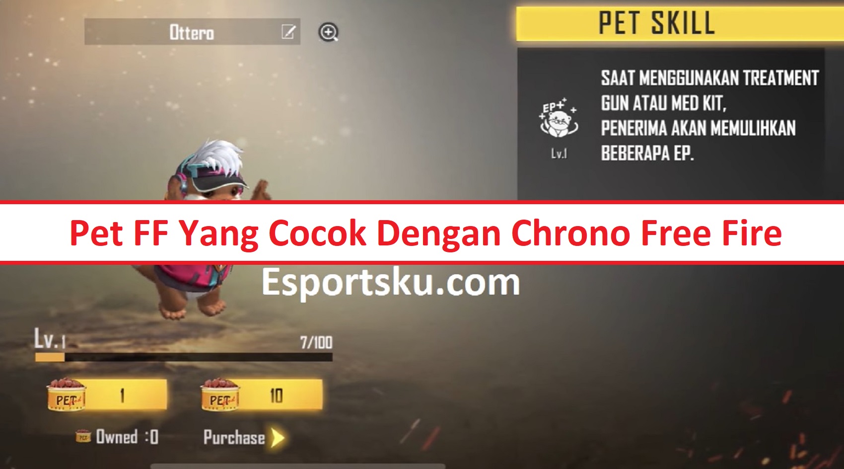 5 Pet FF Yang Cocok Dengan Chrono Free Fire – Esportsku