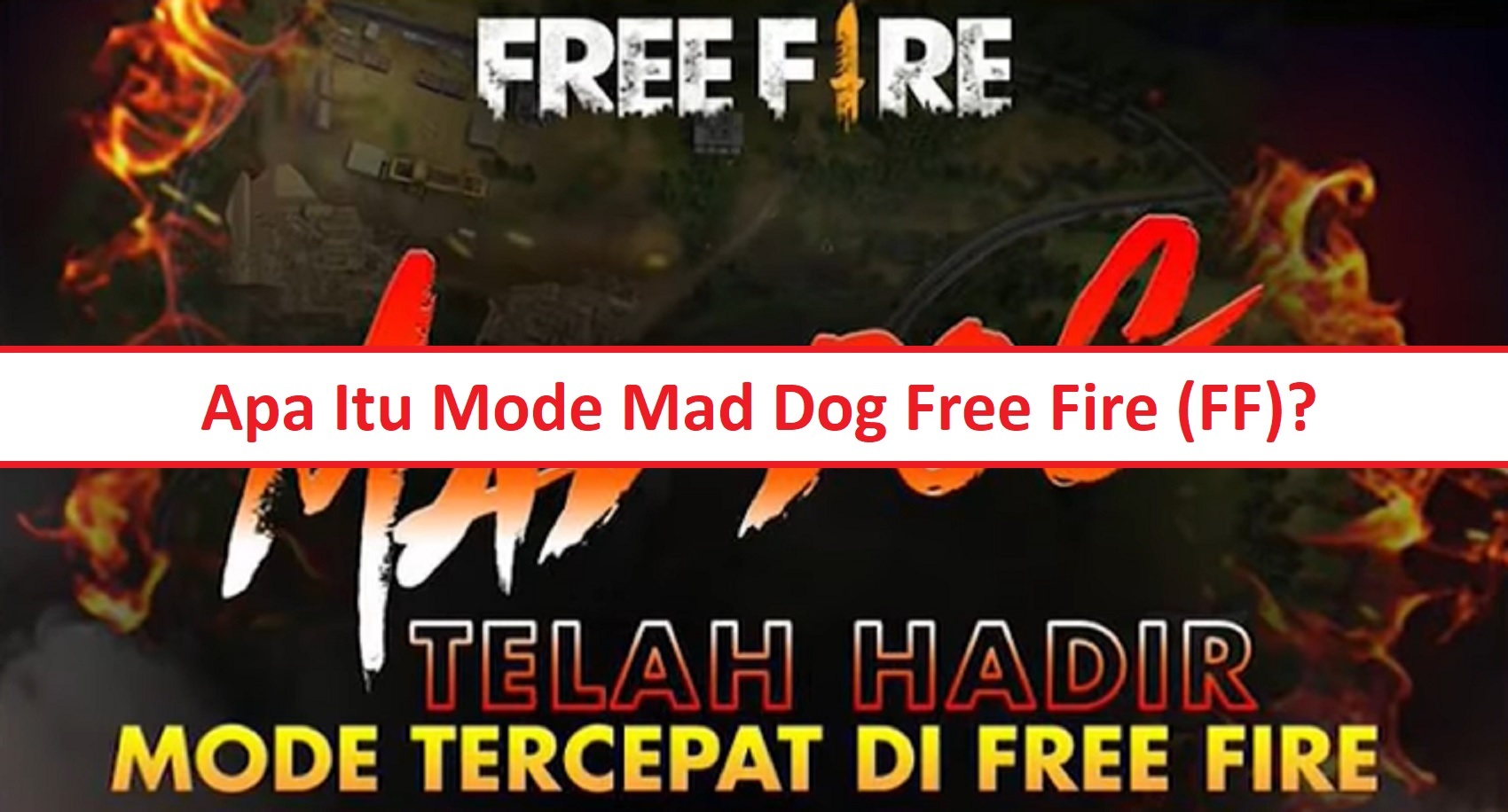 Apa Itu Mode Mad Dog Free Fire (FF)? – Esportsku