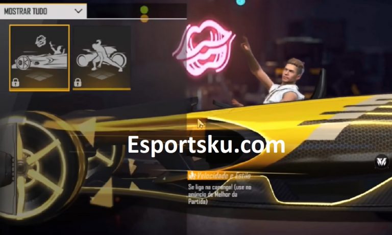 Animation Ada di Collection Free Fire (FF), Apa Itu? – Esportsku