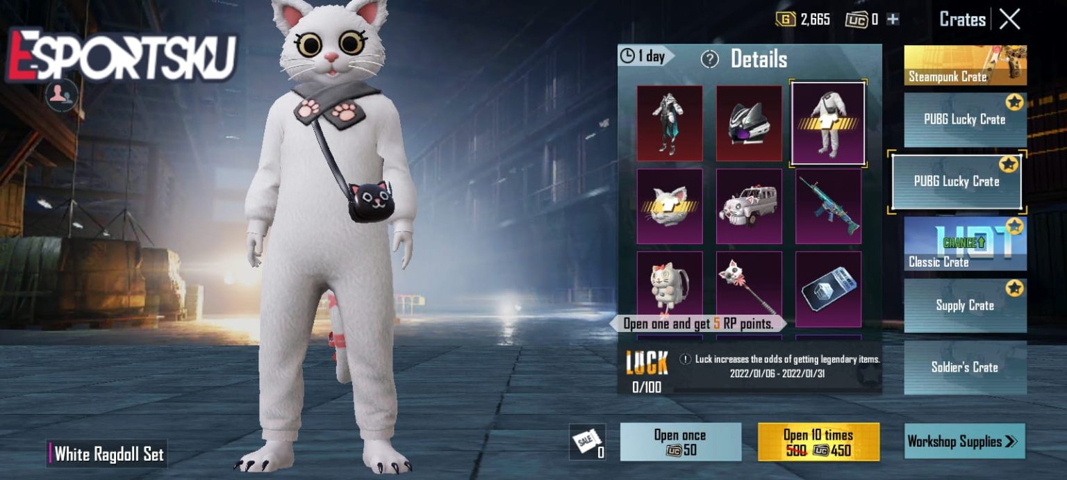 Cara Mendapatkan Bundle Bionic Catwoman di PUBG Mobile, Terdapat ...