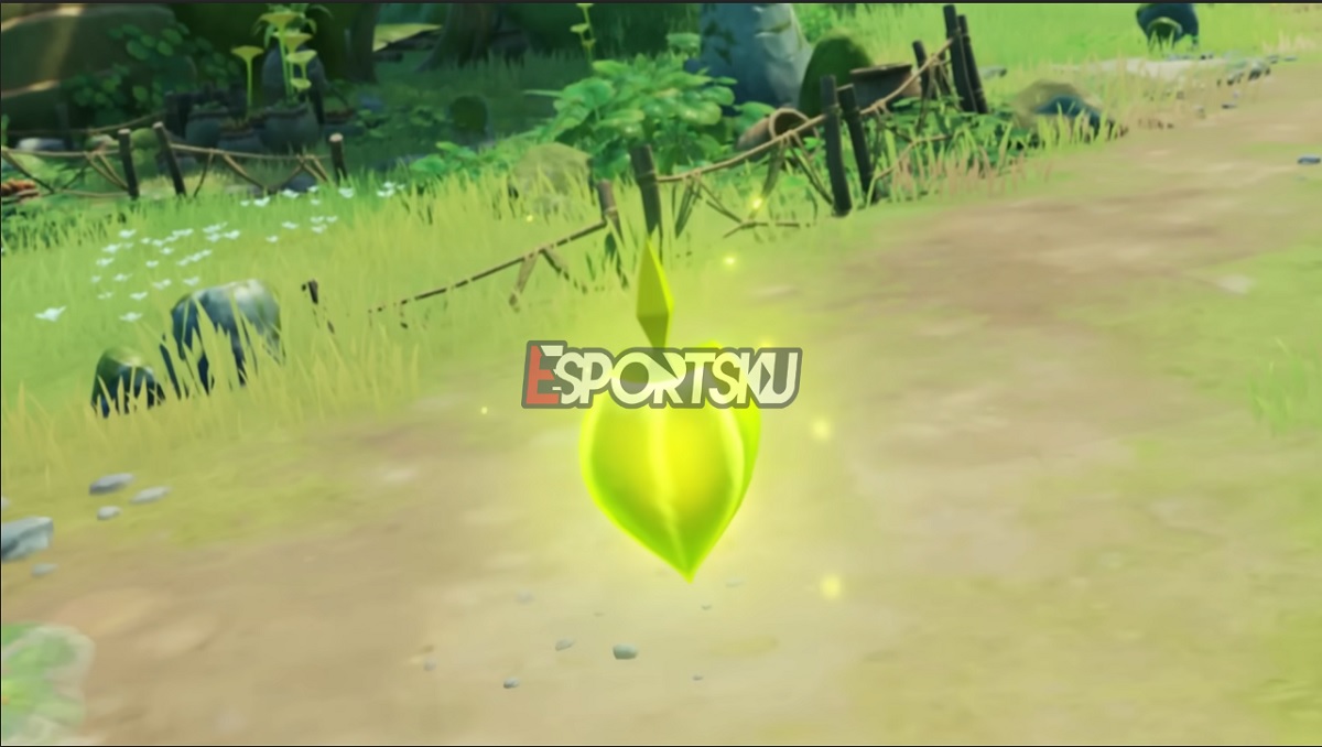7 Elemental Reaction Dendro Genshin Impact Terbaru – Esportsku