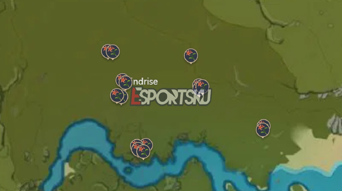 Lokasi Farming Windwheel Aster Genshin Impact – Esportsku