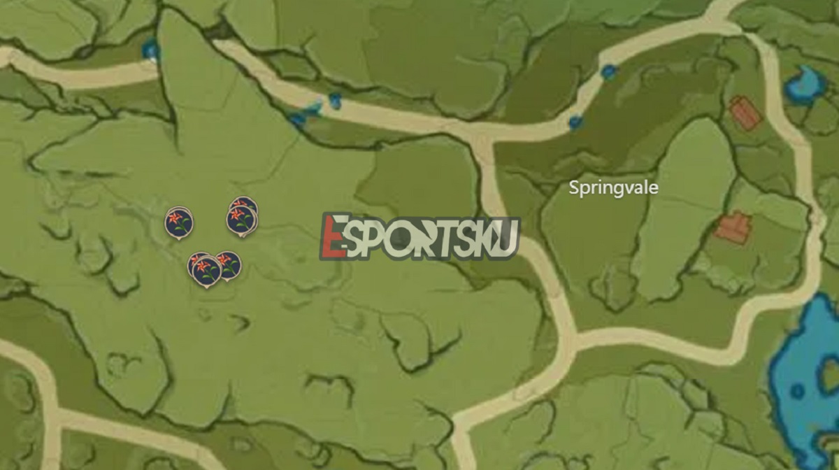 Lokasi Farming Windwheel Aster Genshin Impact – Esportsku