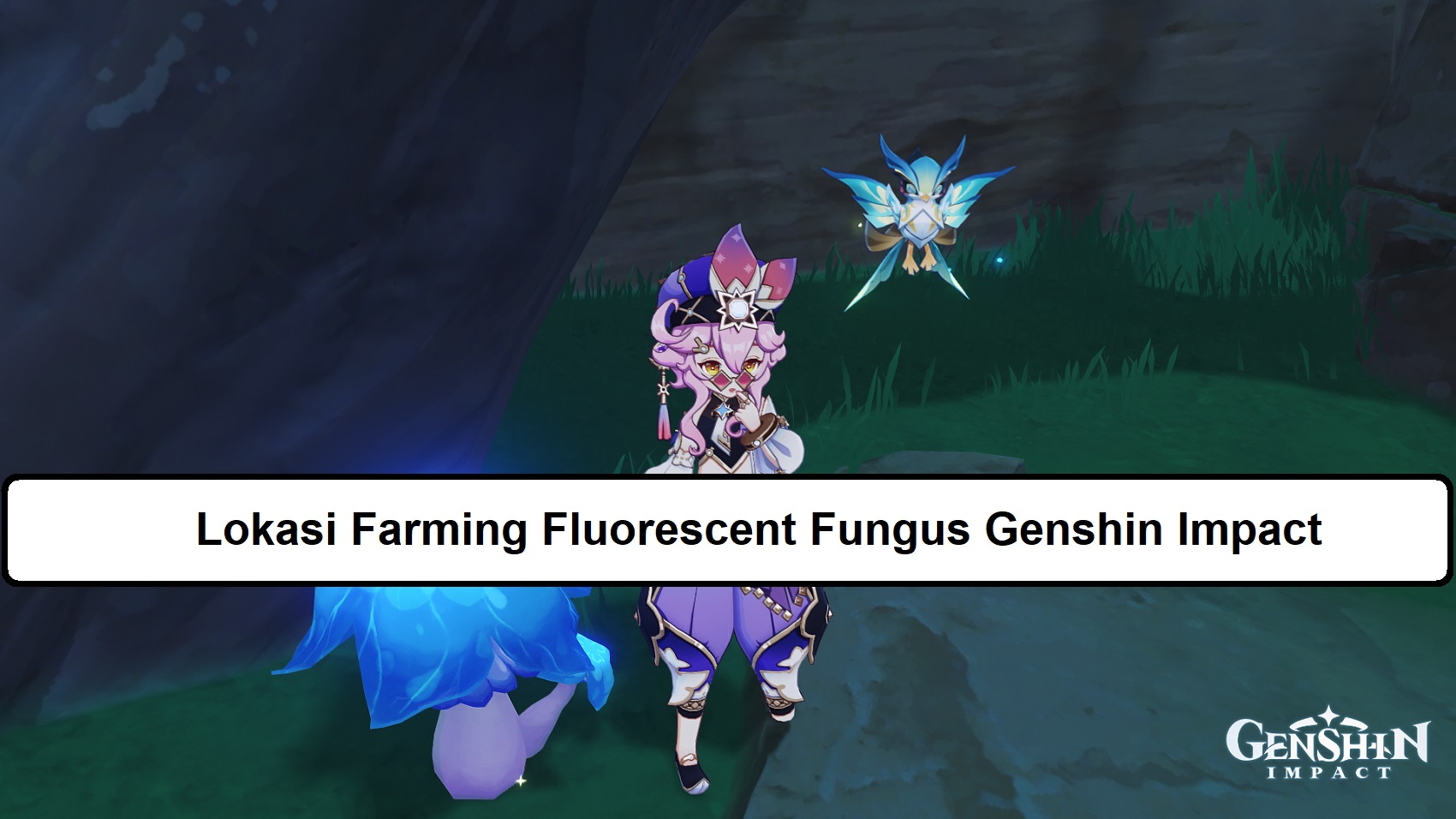 Lokasi Farming Fluorescent Fungus Genshin Impact – Esportsku