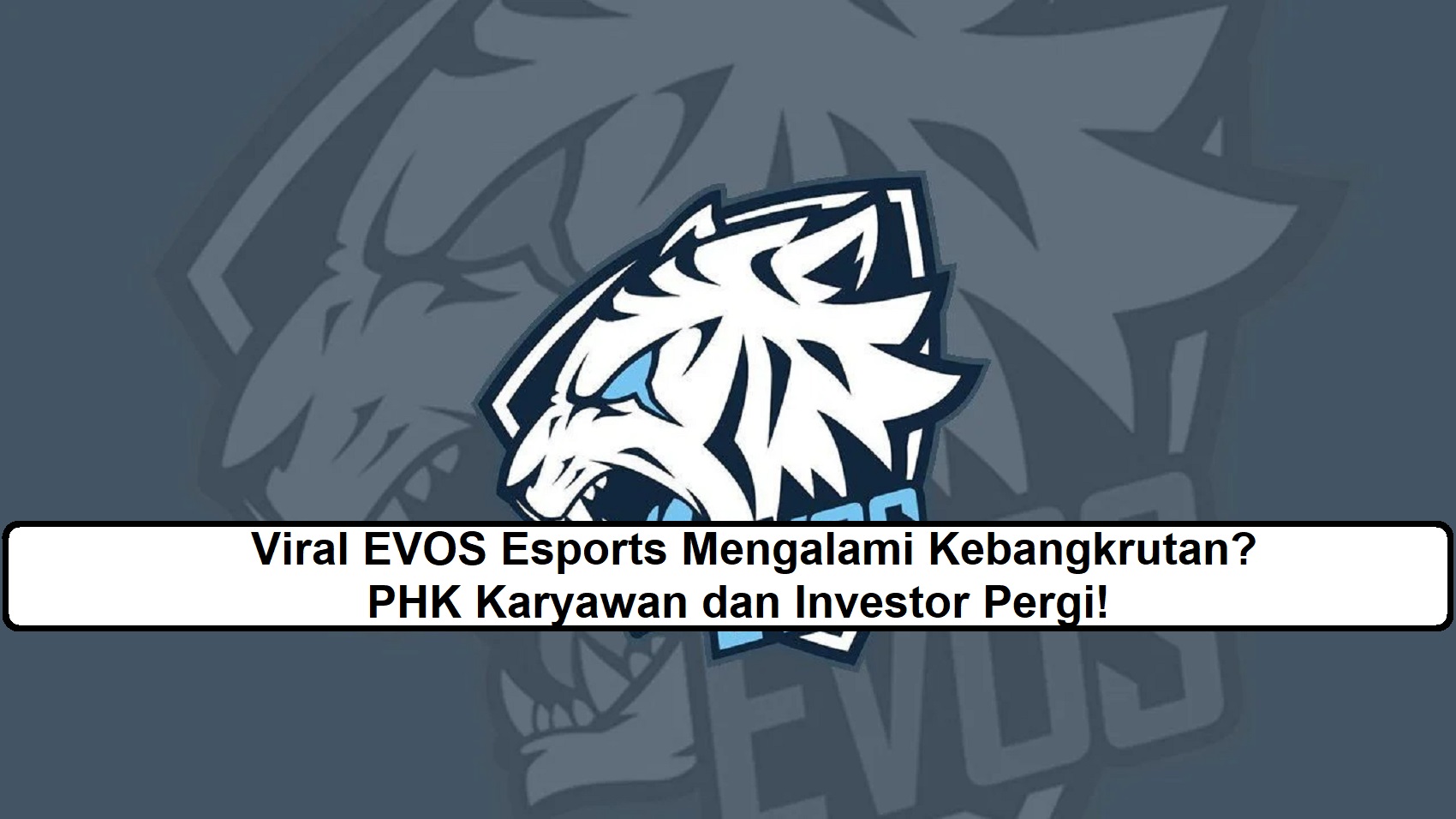 Viral EVOS Esports Mengalami Kebangkrutan? PHK Karyawan dan Investor ...