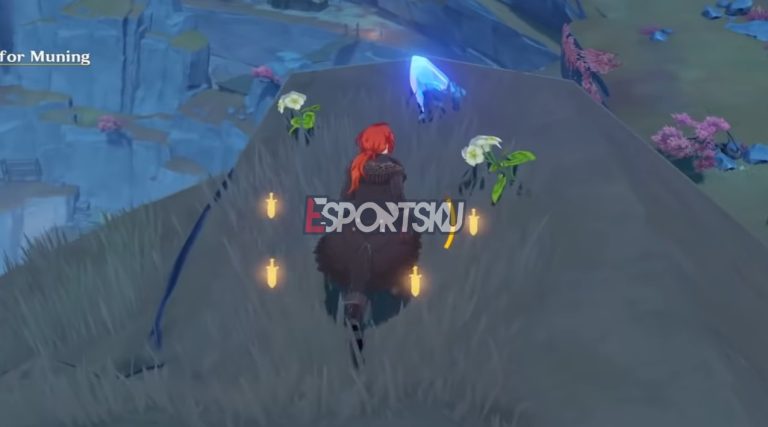 9 Lokasi Batu Muning Chasm Genshin Impact – Esportsku