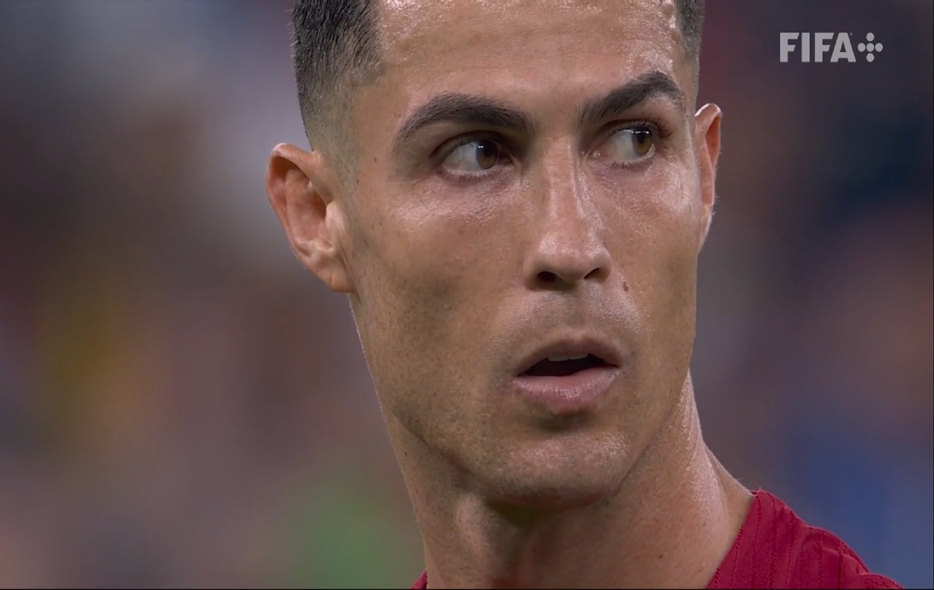 Ronaldo tidak main? Ini Prediksi Line Up Maroko VS Portugal Piala Dunia ...