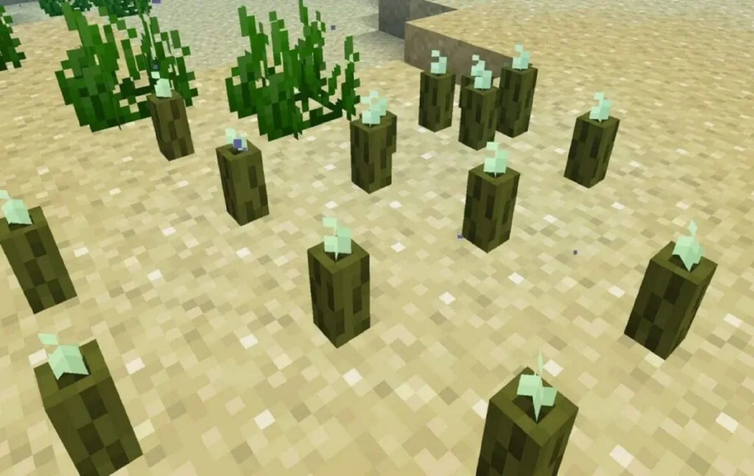 Cara Menanam Sea Pickles di Minecraft – Esportsku