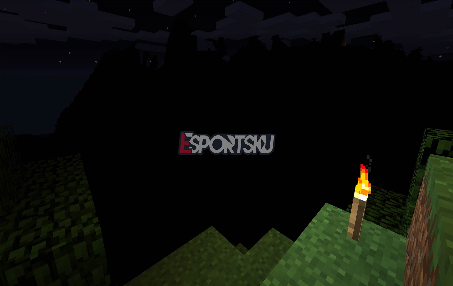 Apa Maksud Darkness Effect di Minecraft? – Esportsku