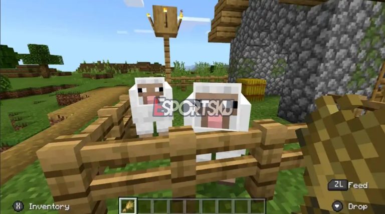 Cara Berternak Domba di Minecraft, Gampang! – Esportsku