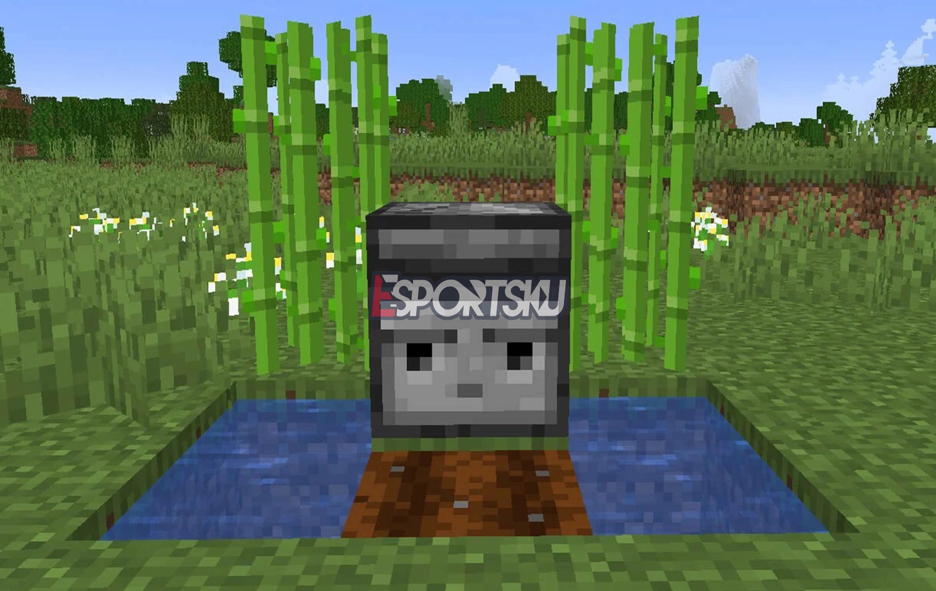 Fungsi Kegunaan Blok Observer Minecraft, Ternyata Begini! – Esportsku
