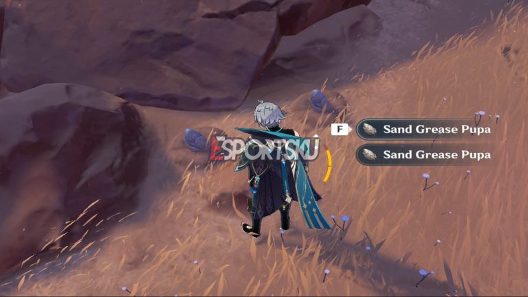 Lokasi Farming Sand Grease Pupa Genshin Impact – Esportsku
