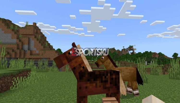 minecraft Archives – Esportsku