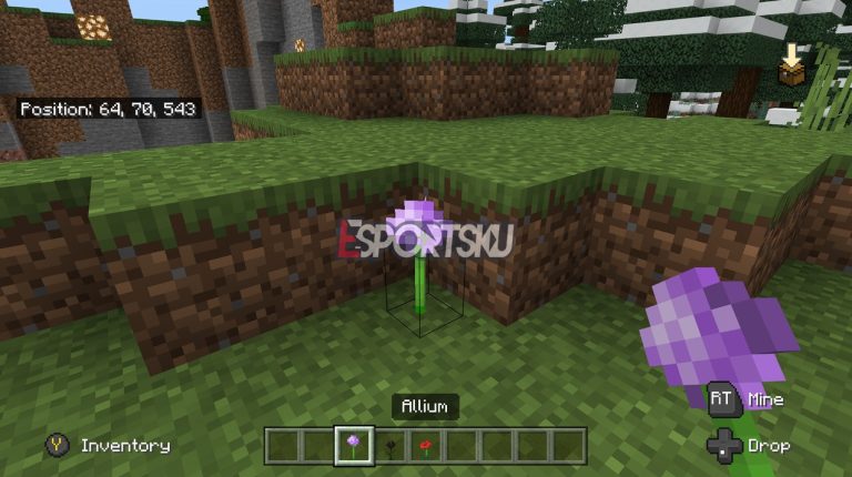 Apa Itu Bunga dan Jenisnya di Minecraft? – Esportsku