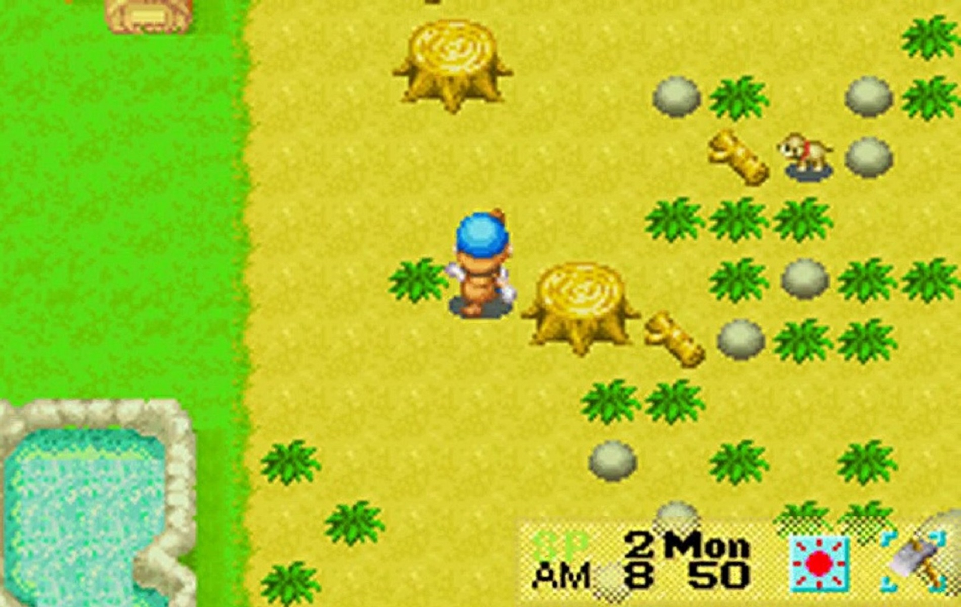 Honor Of Kings Hero Arli: Build, Skill, Counter – Esportsku