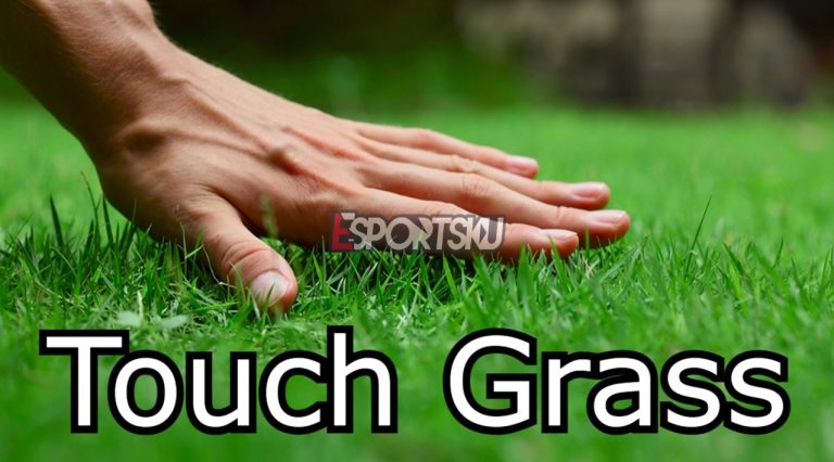 Istilah Touch Grass Ala Gamers, Ini Maksudnya! – Esportsku