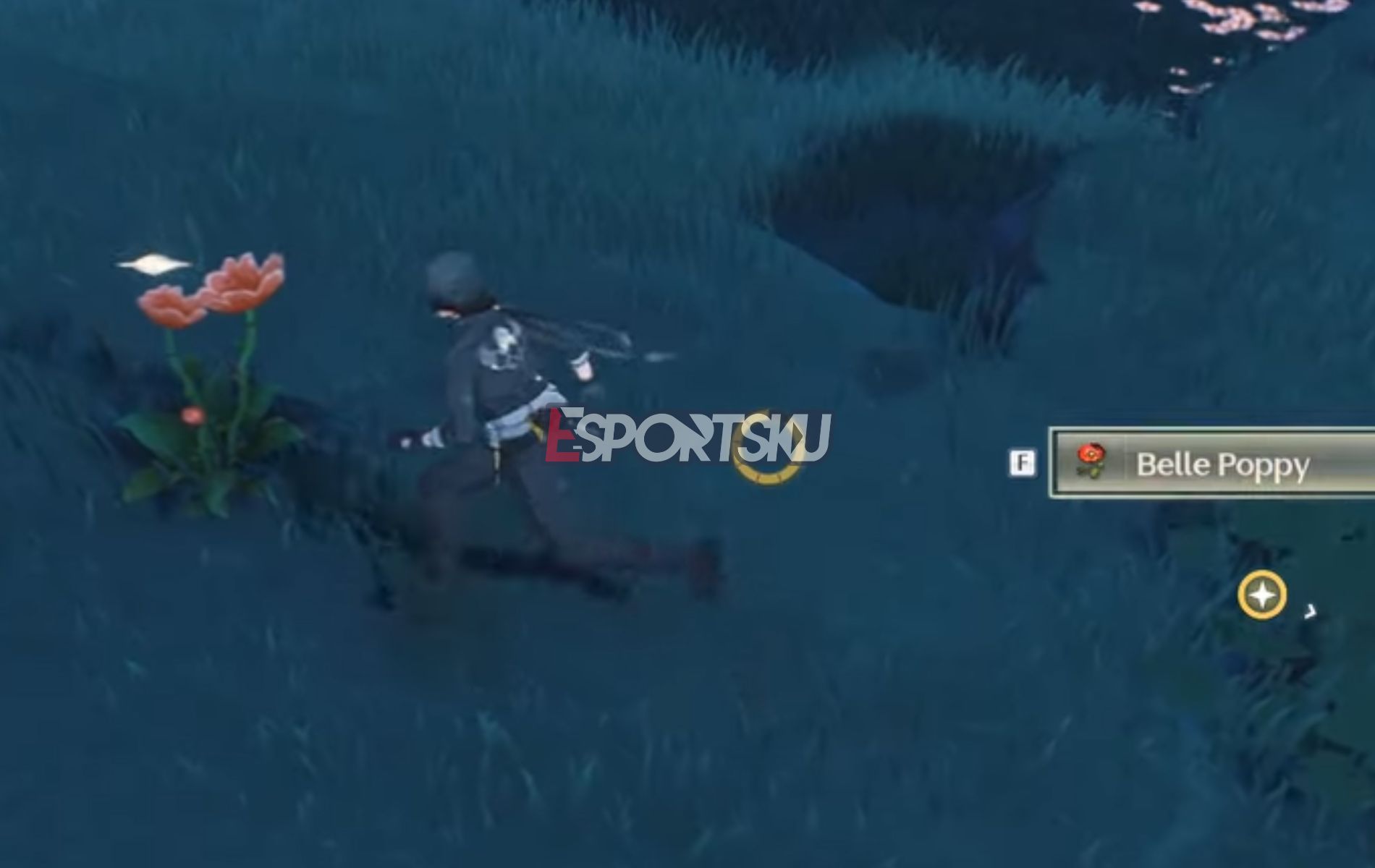 Lokasi Farming Belle Poppy Wuthering Waves – Esportsku