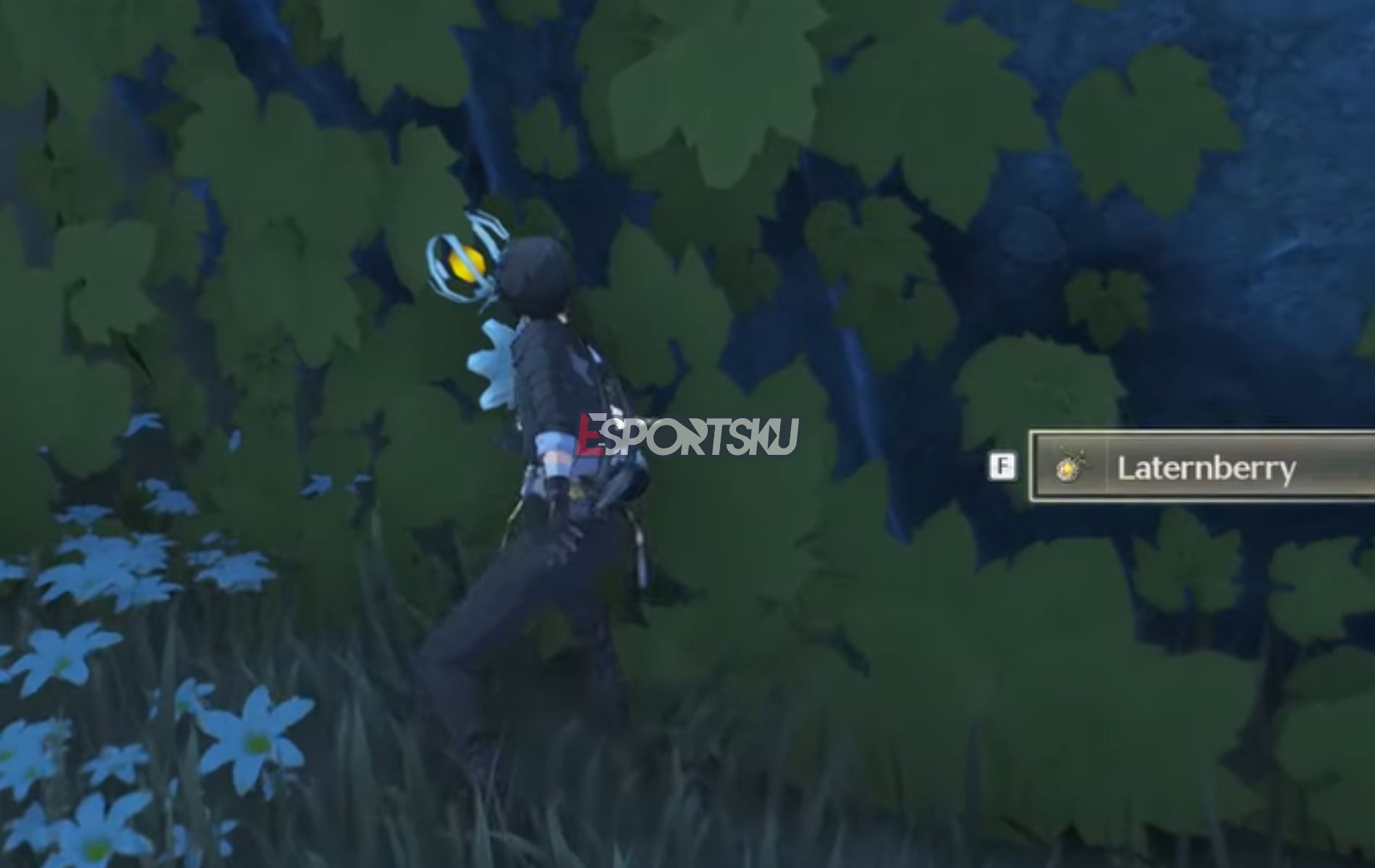 Material Ascension Karakter Jianxin Wuthering Waves – Esportsku