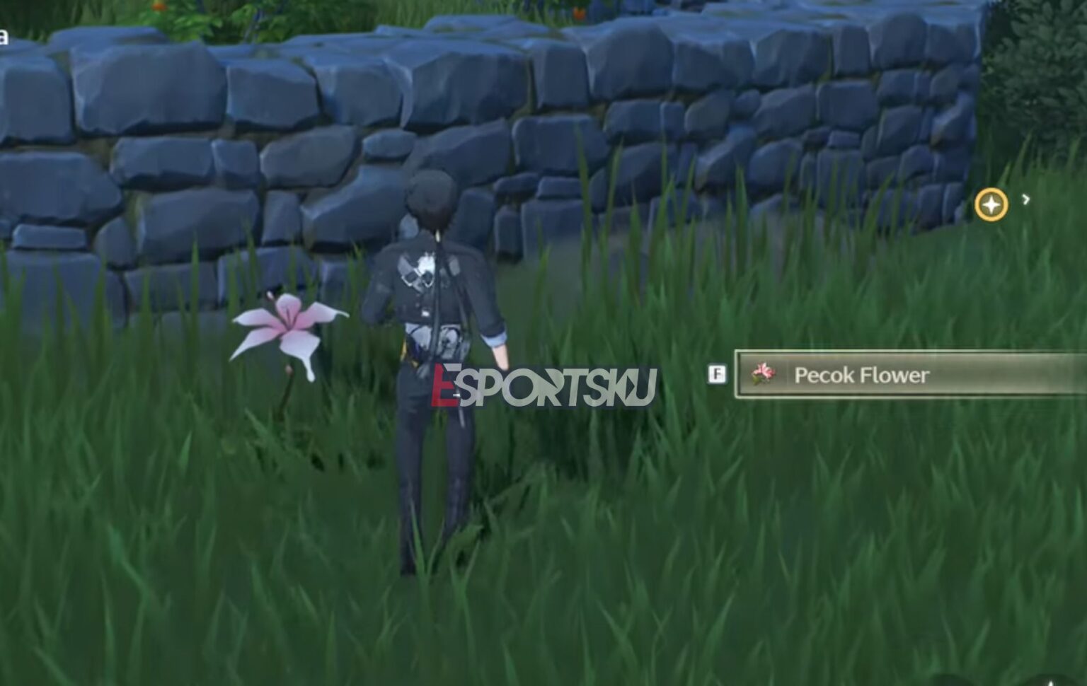 Material Ascension Karakter Jiyan Wuthering Waves – Esportsku