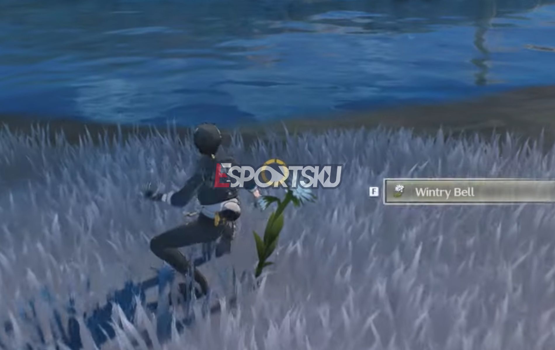 Lokasi Farming Wintry Bell Wuthering Waves – Esportsku