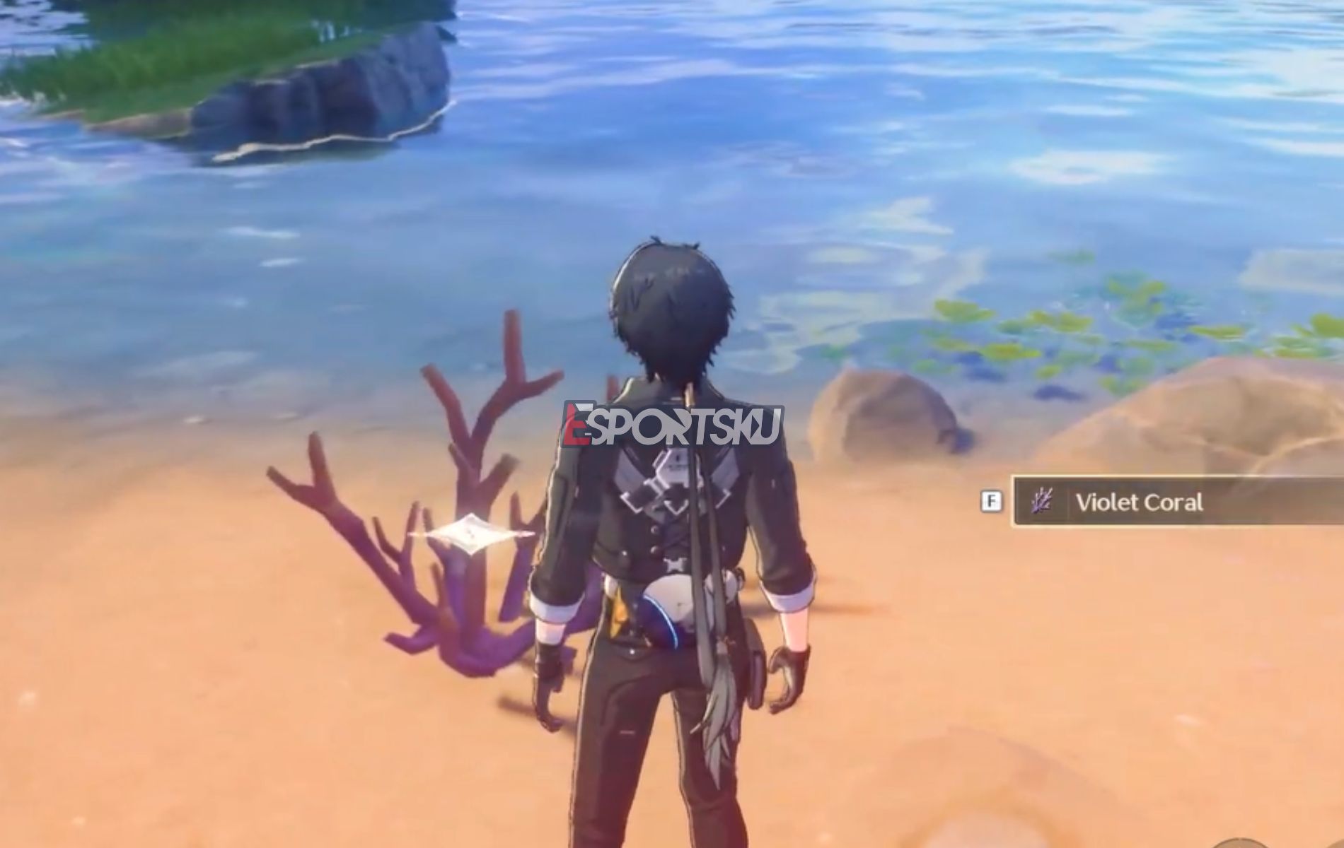 Lokasi Farming Violet Coral Wuthering Waves – Esportsku